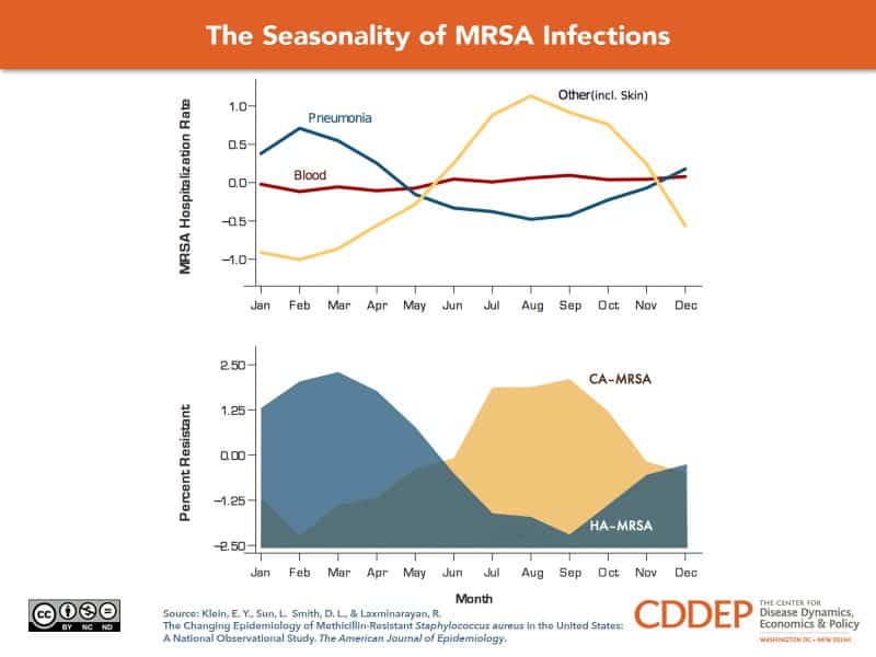 Community-associated MRSA peaks in summer, as do skin and soft tissue ...