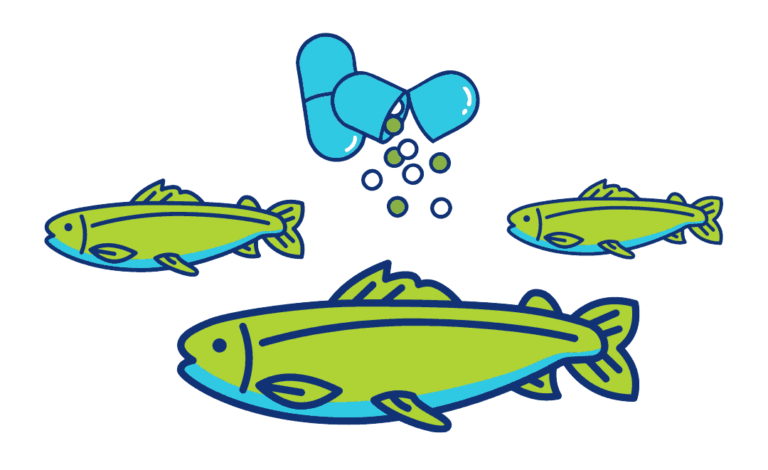 Fish Farming and Antibiotic Resistance - One Health Trust