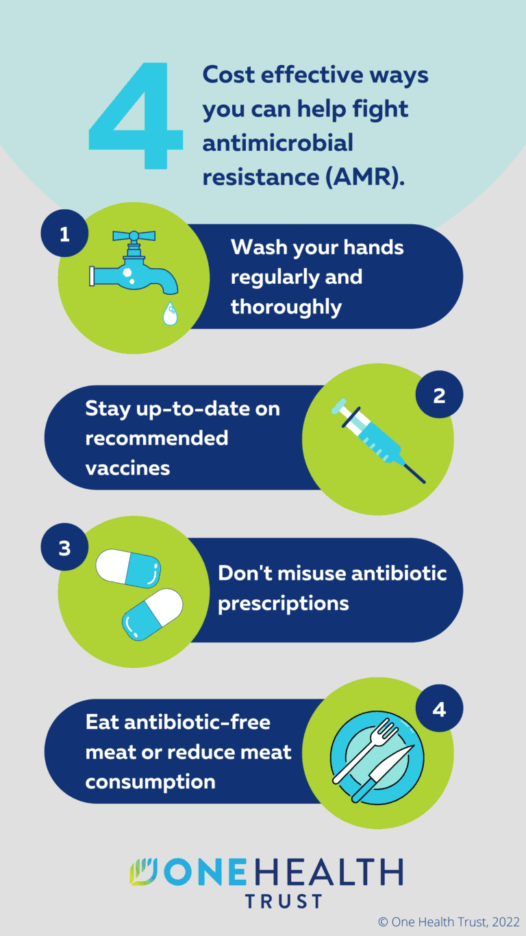 4 Cost effective ways you can help fight antimicrobial resistance (AMR) - One Health Trust