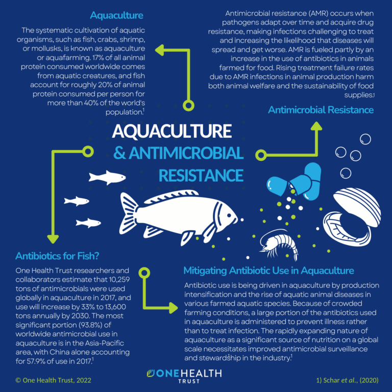 Aquaculture & Antimicrobial Resistance - One Health Trust