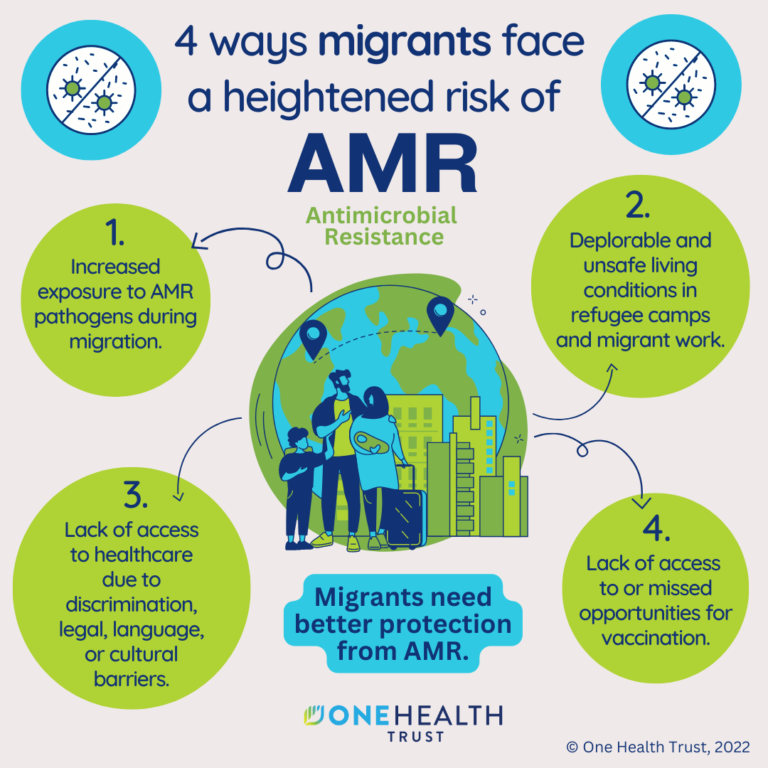 4 Ways migrants face a heightened risk of AMR Antimicrobial Resistance ...