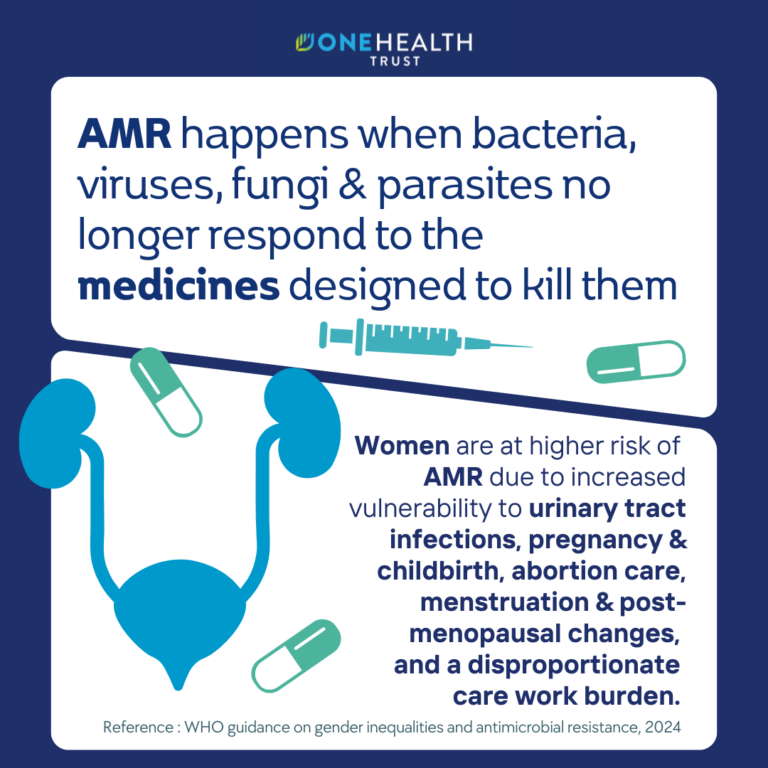 Women and AMR risk - One Health Trust